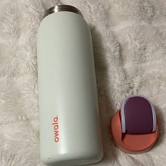 owala | Other | Owala Mint Green Water Bottle With Purple And Pink Lid ...